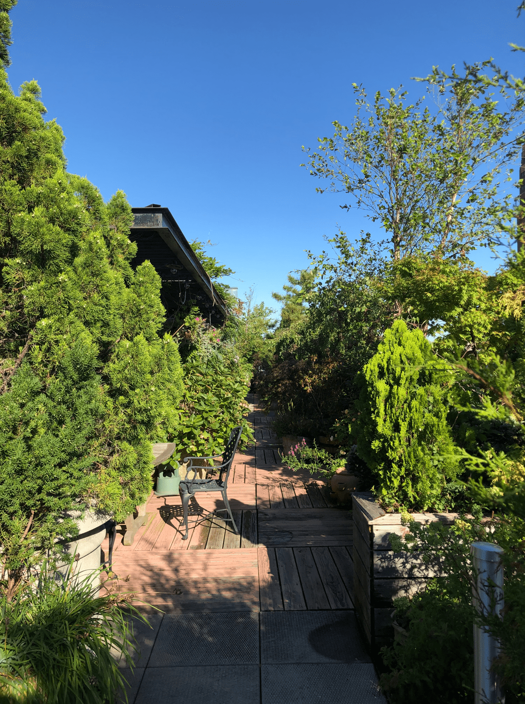 Overloaded Roofs & Terraces - HLZAE